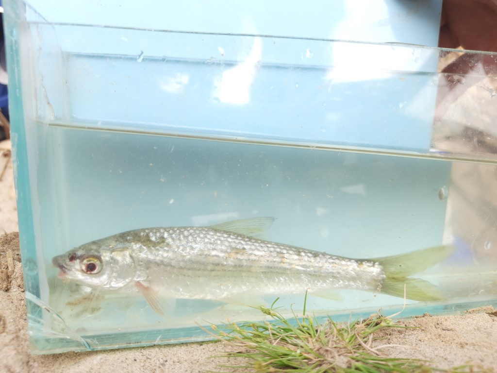 Photo Gallery | Bio Resources Development Centre (BRDC), Meghalaya