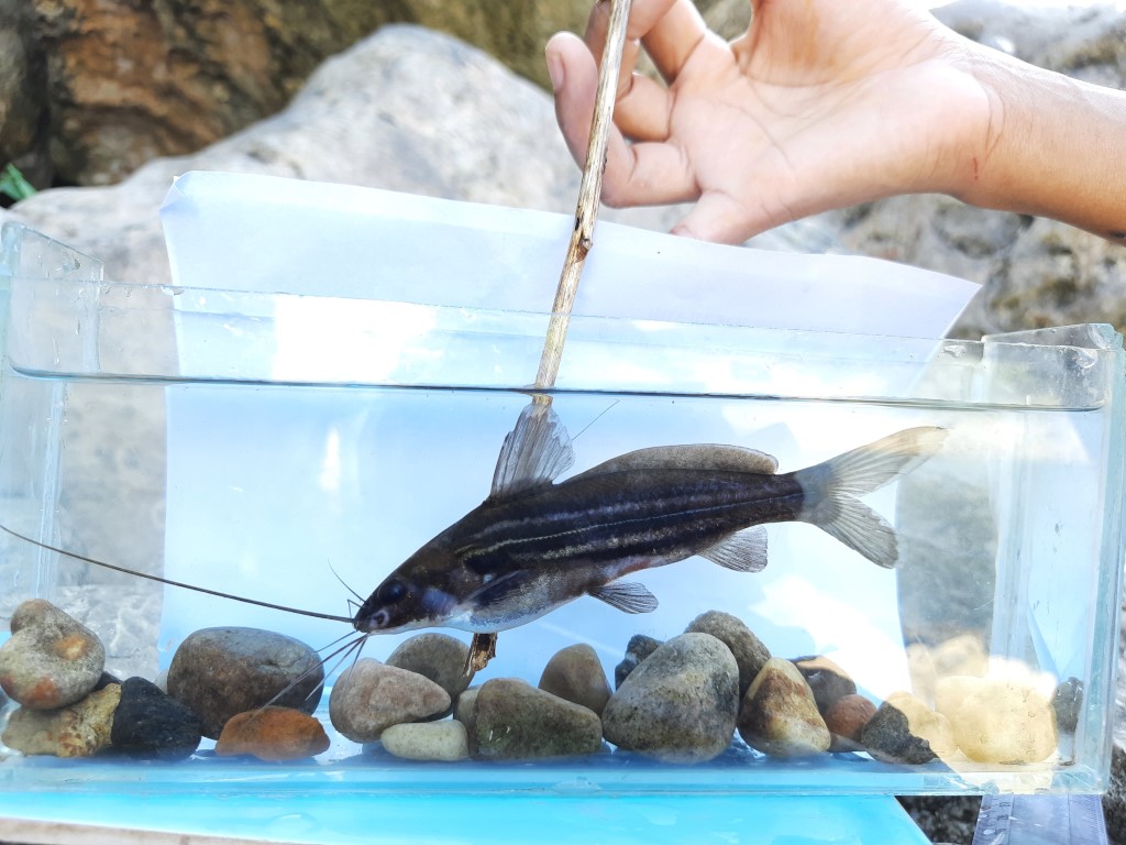 Photo Gallery | Bio Resources Development Centre (BRDC), Meghalaya