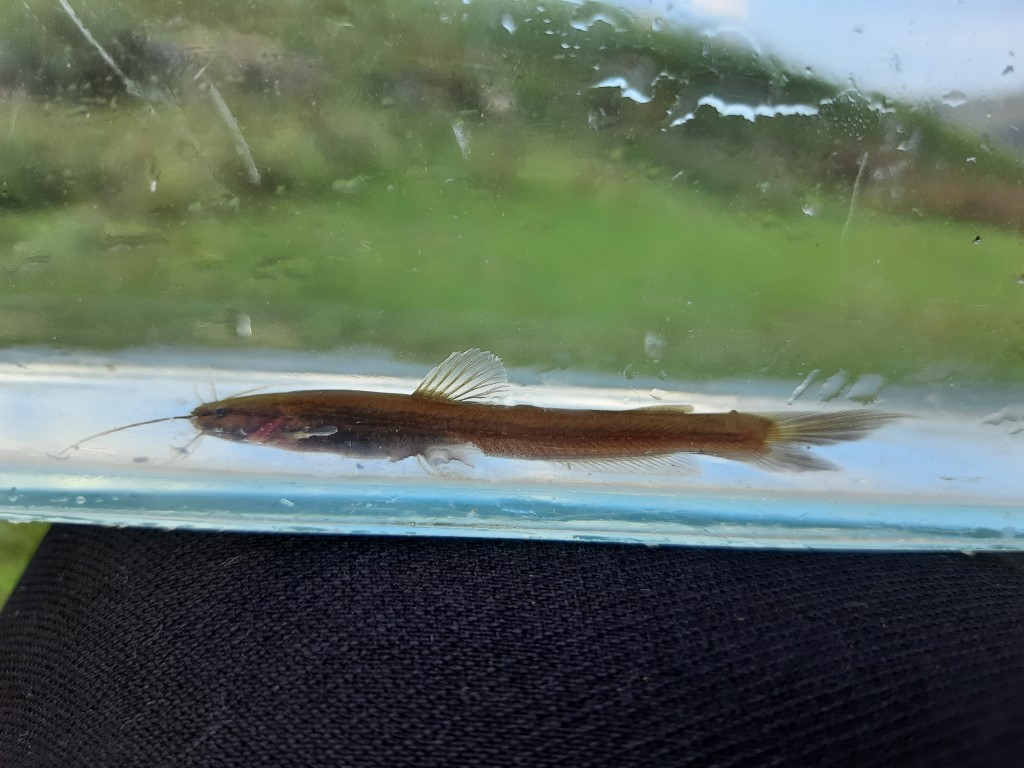 Photo Gallery | Bio Resources Development Centre (BRDC), Meghalaya