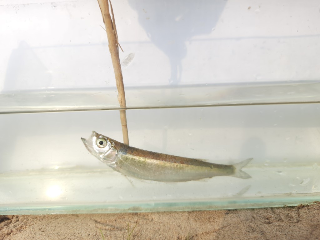 Photo Gallery | Bio Resources Development Centre (BRDC), Meghalaya